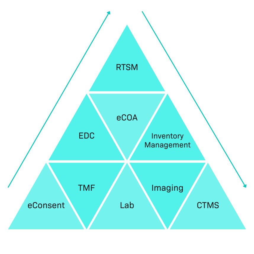 Aligning RTSM to the Protocol | Signant Health